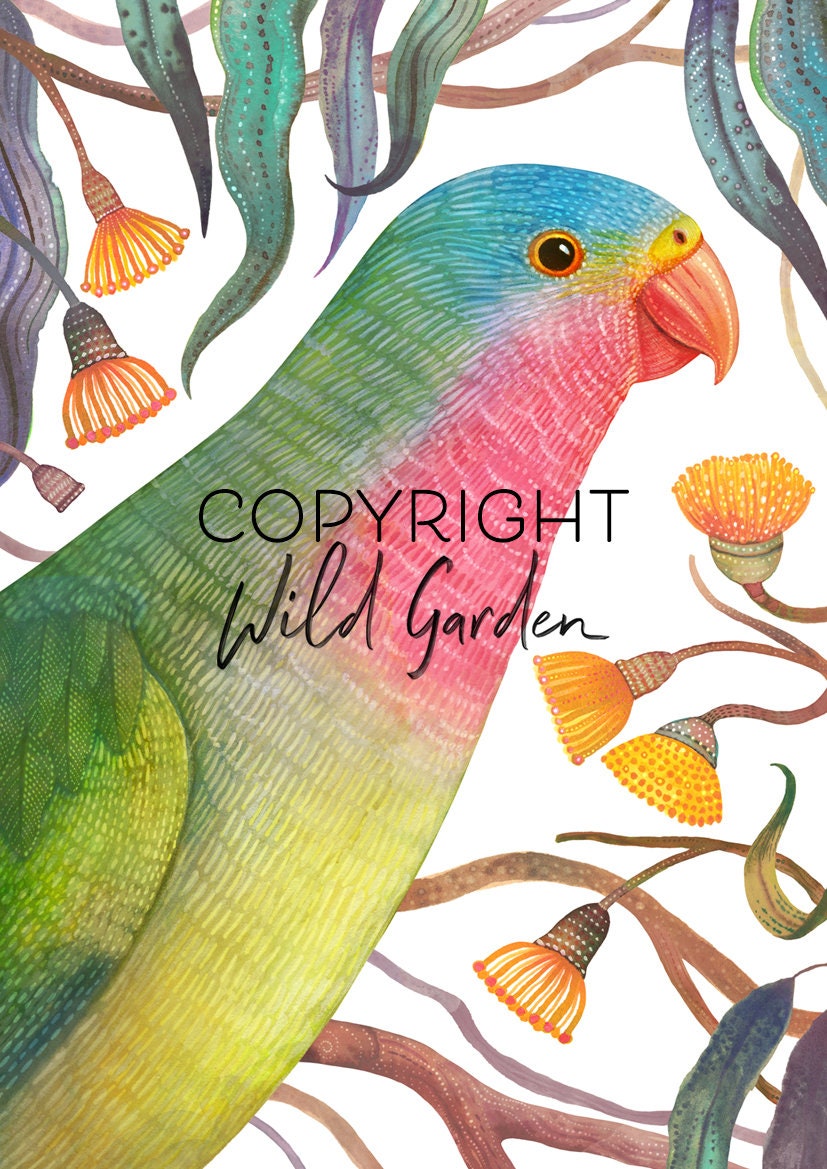 Princess Parrot, Australian Bird Art, Botanical Wall Art, Vintage Bird ...