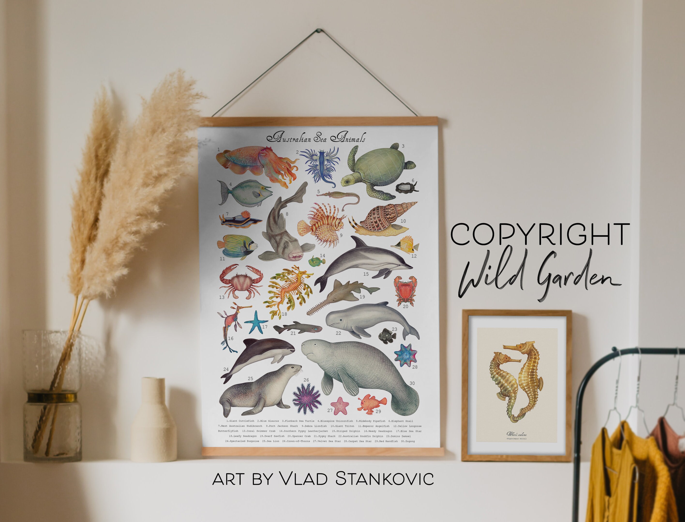 Australian Sea Animals Collection - Art Print, Poster - Etsy Australia