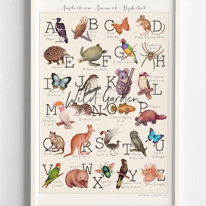 Australian Animal Alphabet - Etsy