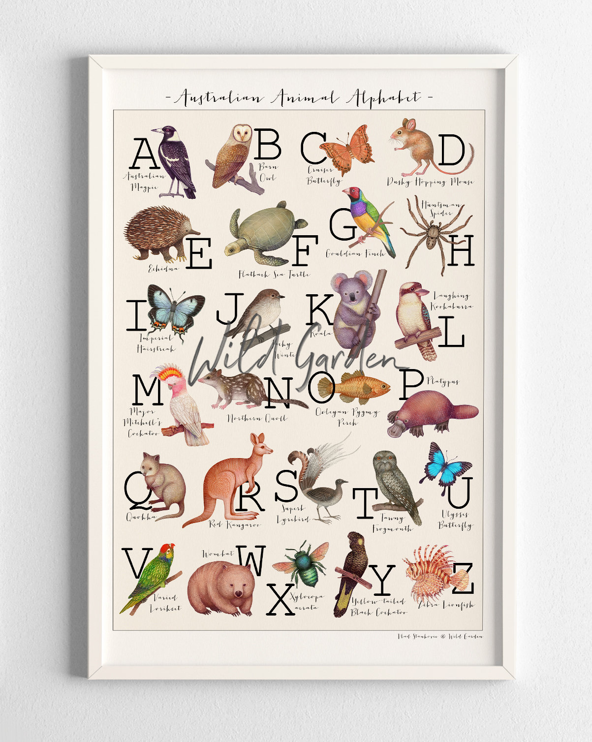 Australian Animal Alphabet - Etsy Australia