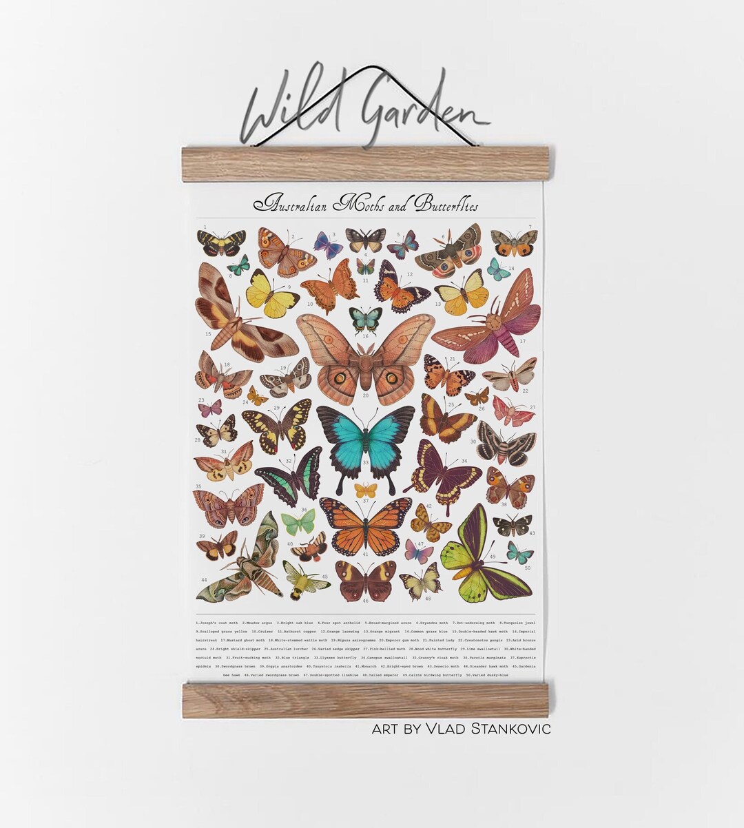 Australian Moths and Butterflies Art Print Poster Wall - Etsy