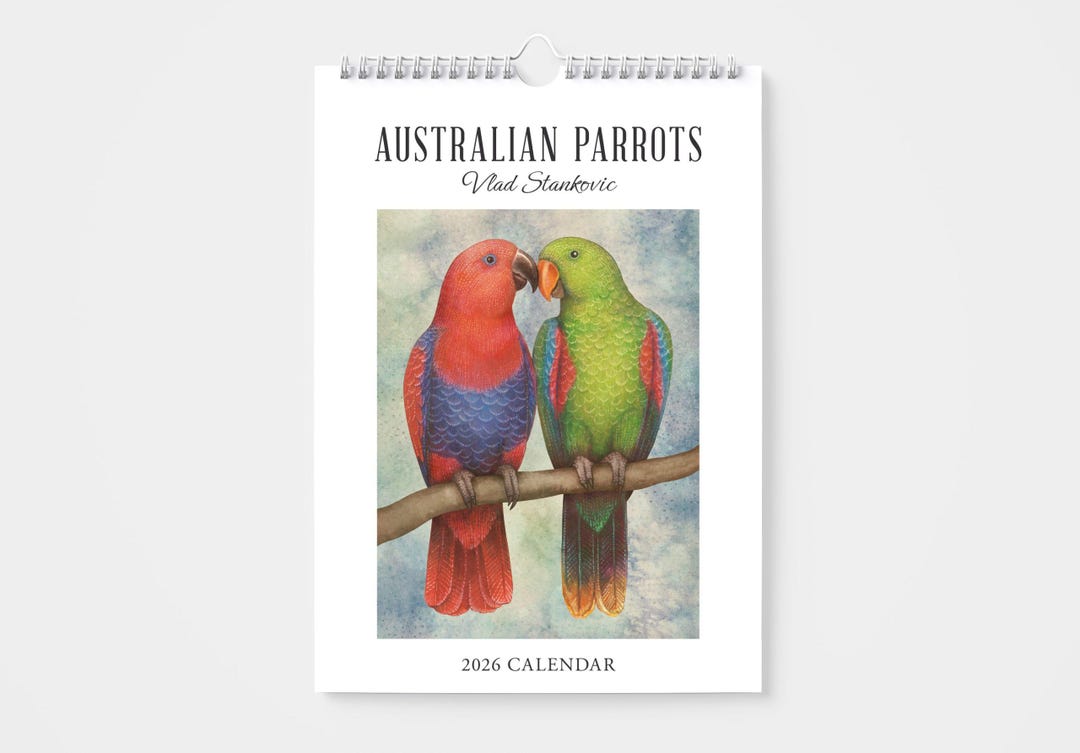 Australian Parrots 2026 Wall Calendar - Etsy