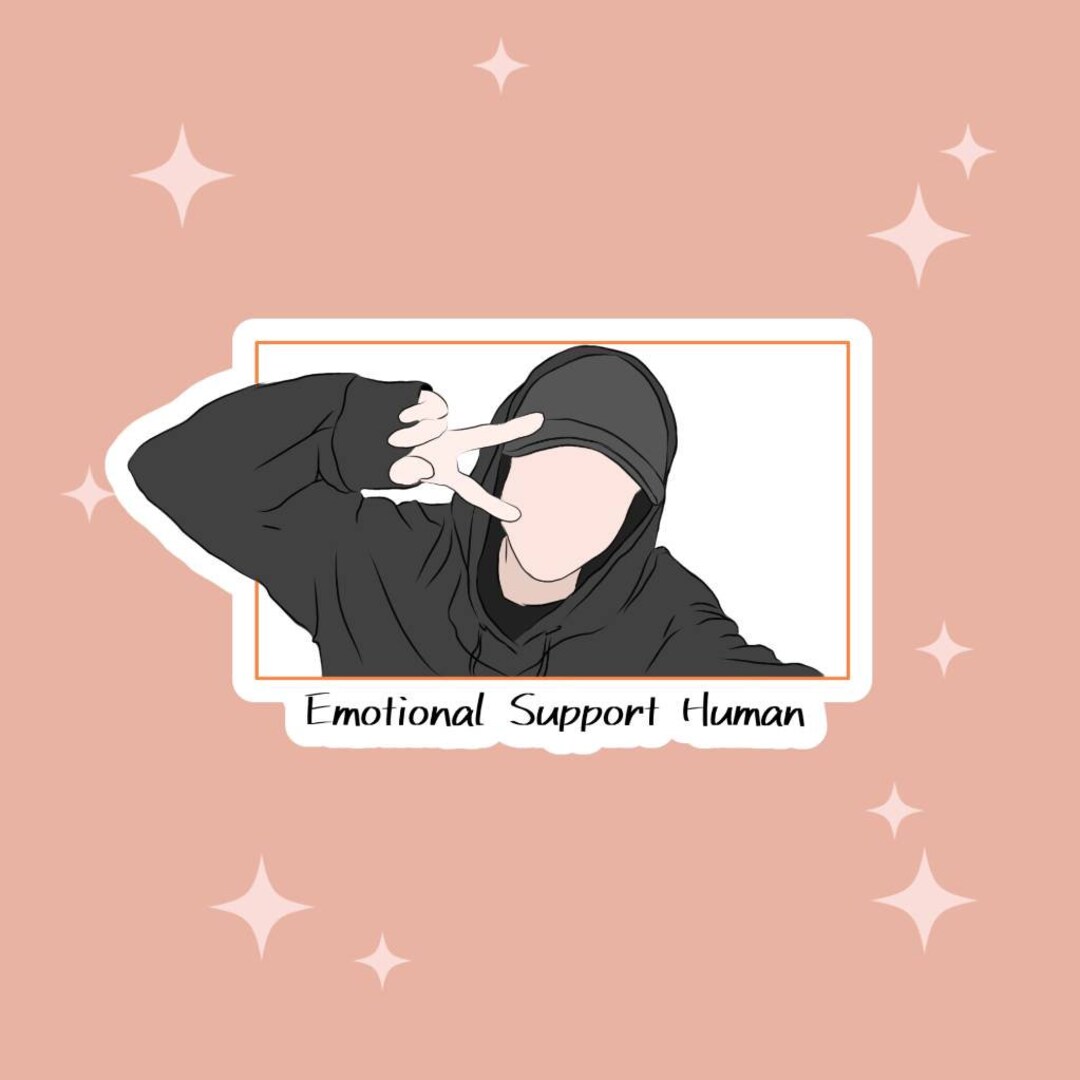 Mr Bang Chan: Emotional Support Human! Stray Kids Sticker Kpop Matte Vinyl and Laminated Vinyl ...