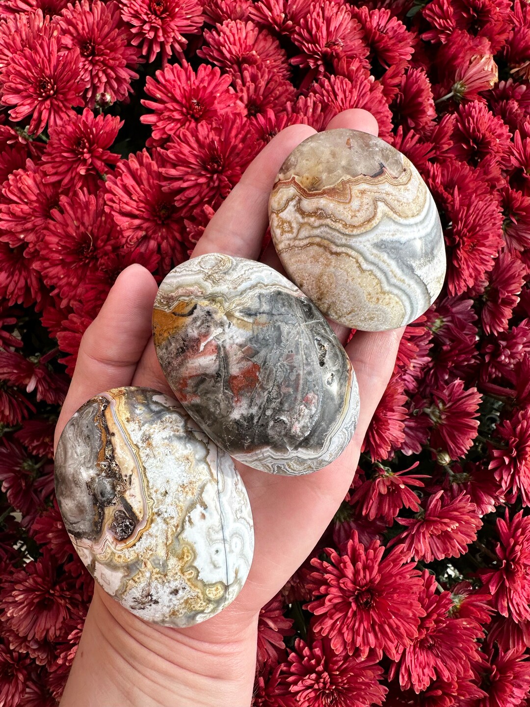 Crazy Lace Agate Palm Stones Crazy Lace Agate Palm Stones - Etsy