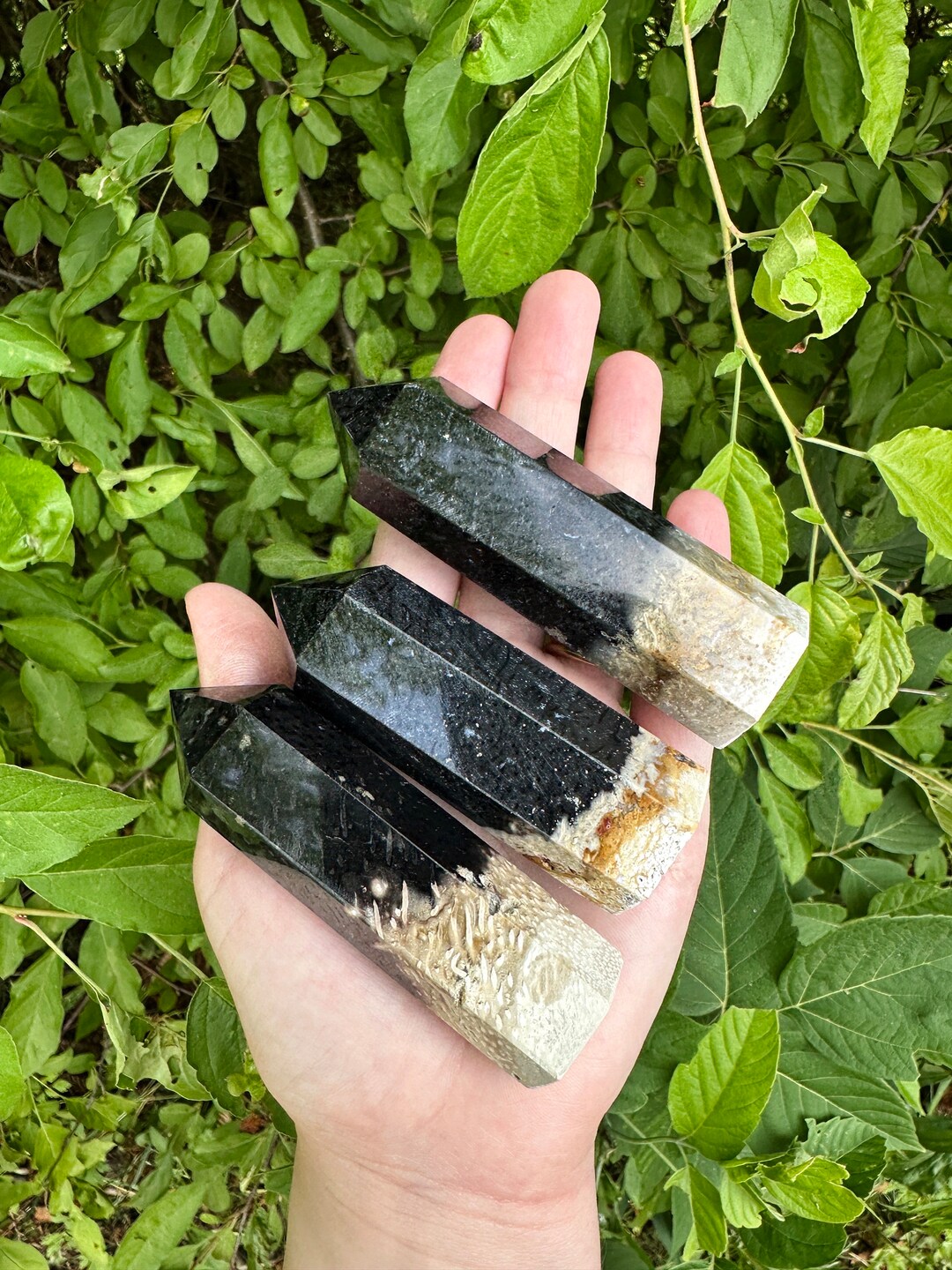 Fossilized Palm Root Tower Fossilized Palm Root Palm Root - Etsy