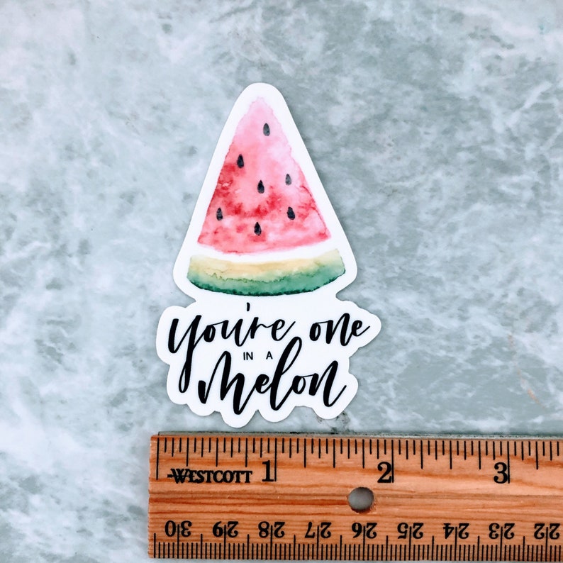 Watermelon Sticker, You're One in a Melon, Cute Summer Sticker ...