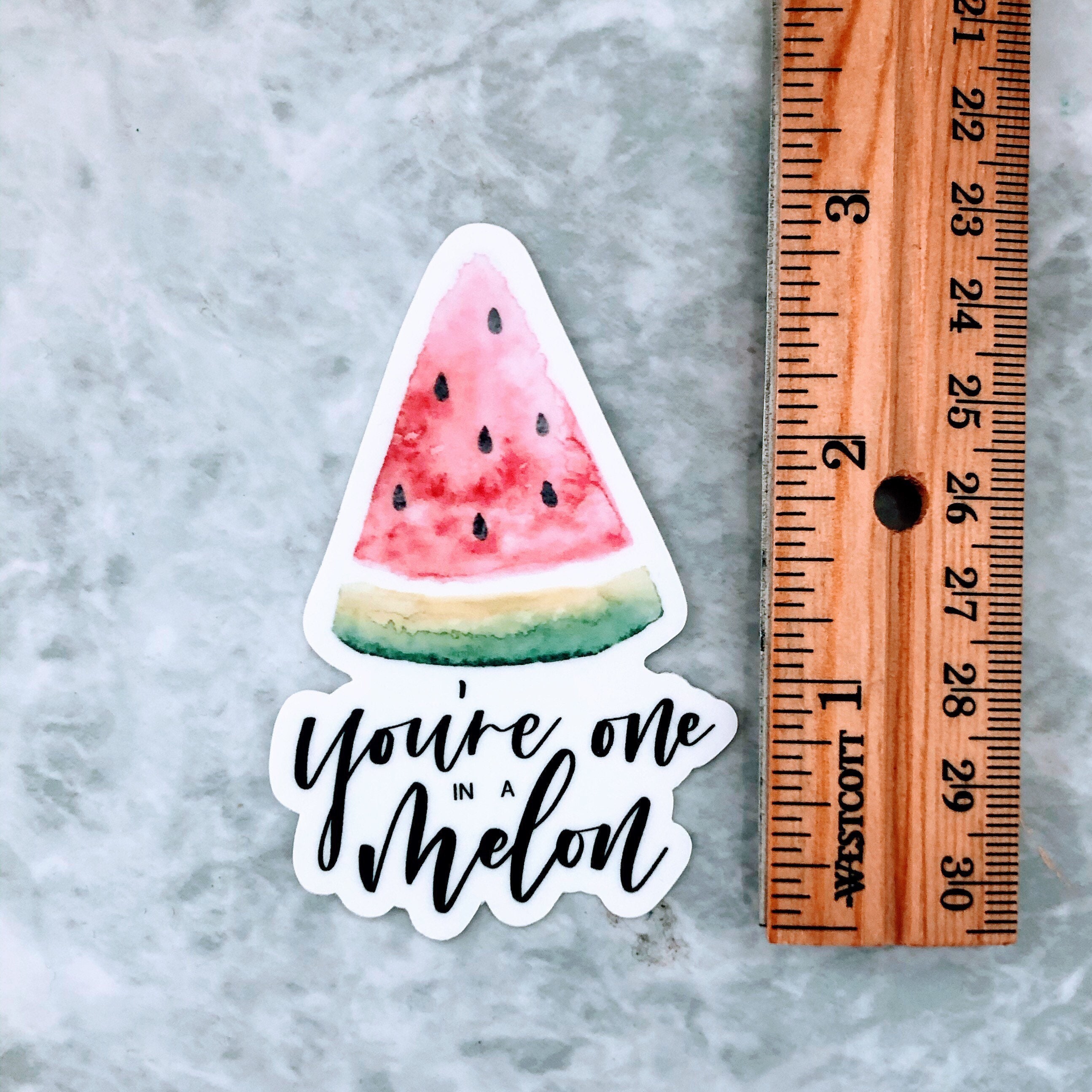 Watermelon Sticker, You're One in a Melon, Cute Summer Sticker ...