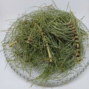 Prêle - Equisetum Arvense - Tisane séchée en vrac, bio, 100% naturelle ...