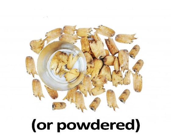 Salep Powder