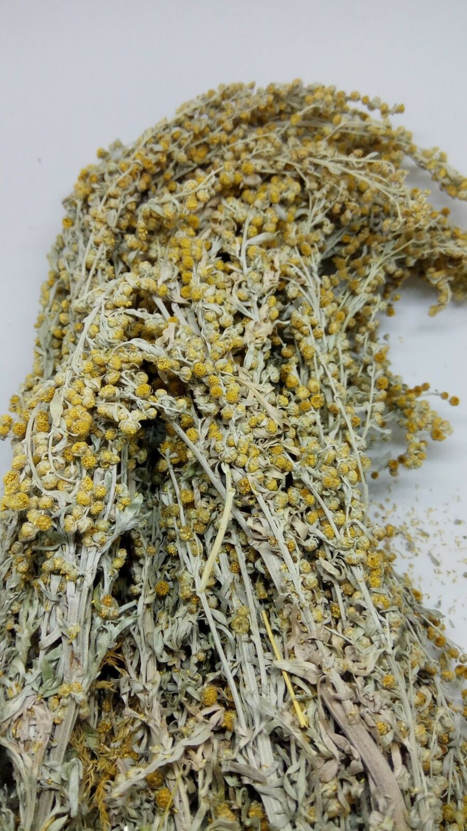 White Wormwood 1lb 454gr Artemisia Absinthium, Mugwort, Organic ...
