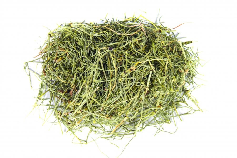 Prêle - Equisetum Arvense - Tisane séchée en vrac, bio, 100% naturelle ...