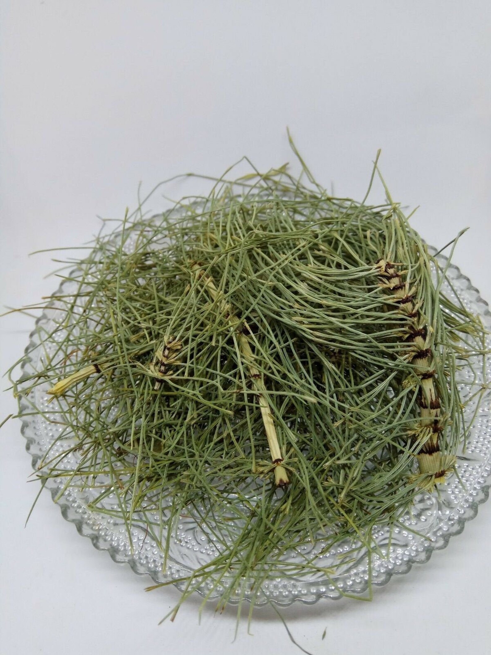 Prêle - Equisetum Arvense - Tisane séchée en vrac, bio, 100% naturelle ...