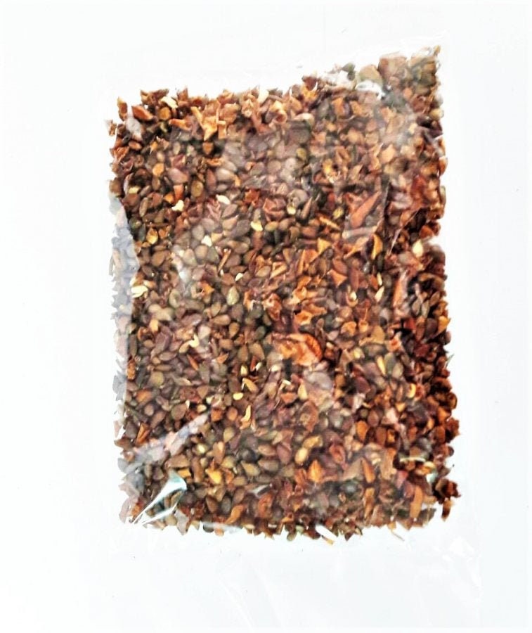 100 Seeds Wild Apple Seeds Malus Sylvestris Crab Apple - Etsy