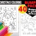 PRINTABLE Christmas Coloring Sheets. 40 Pages- Value Pack | DIGITAL ...