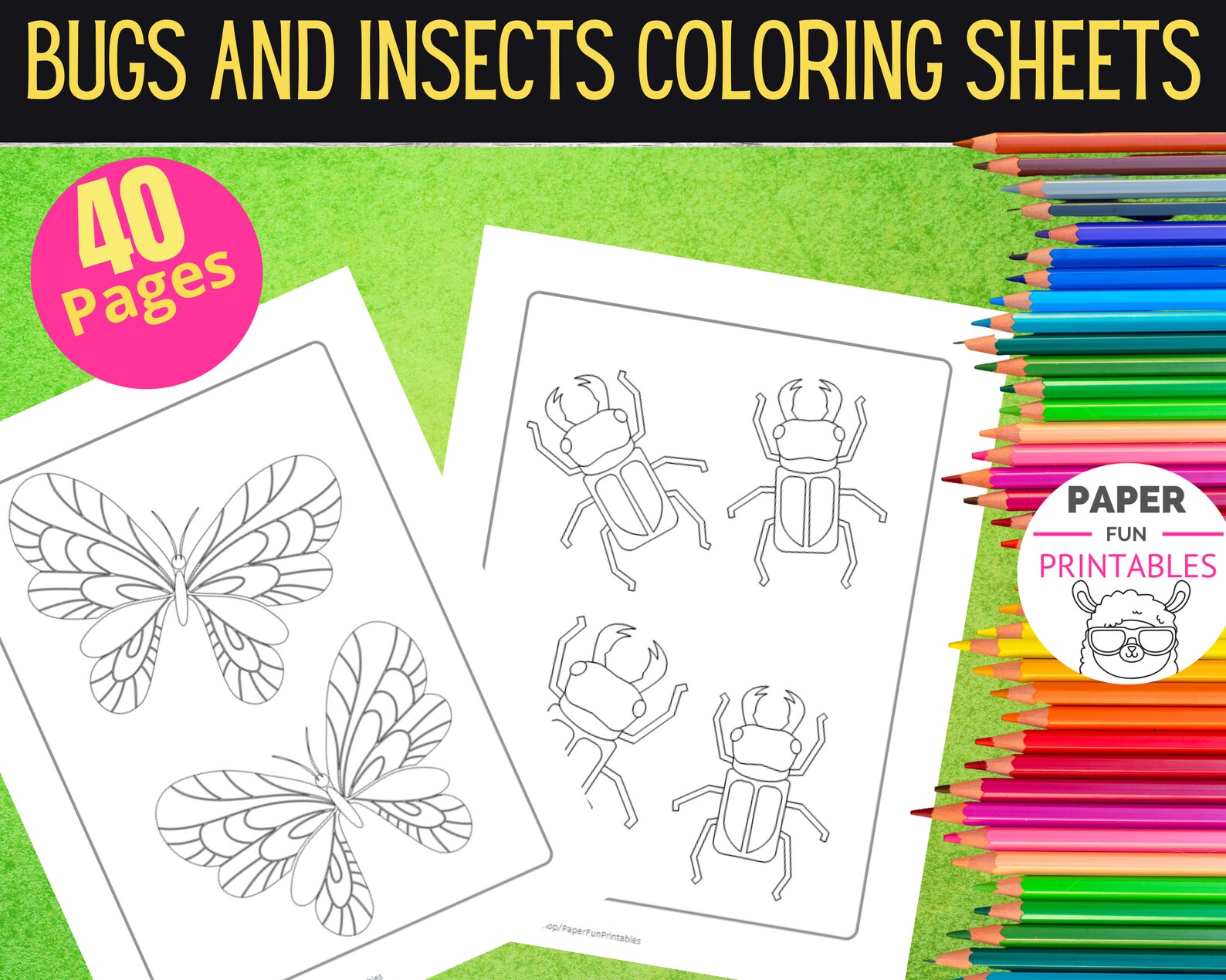 Bugs and Insects Coloring Pages : 40 Printable Minibeast | Etsy