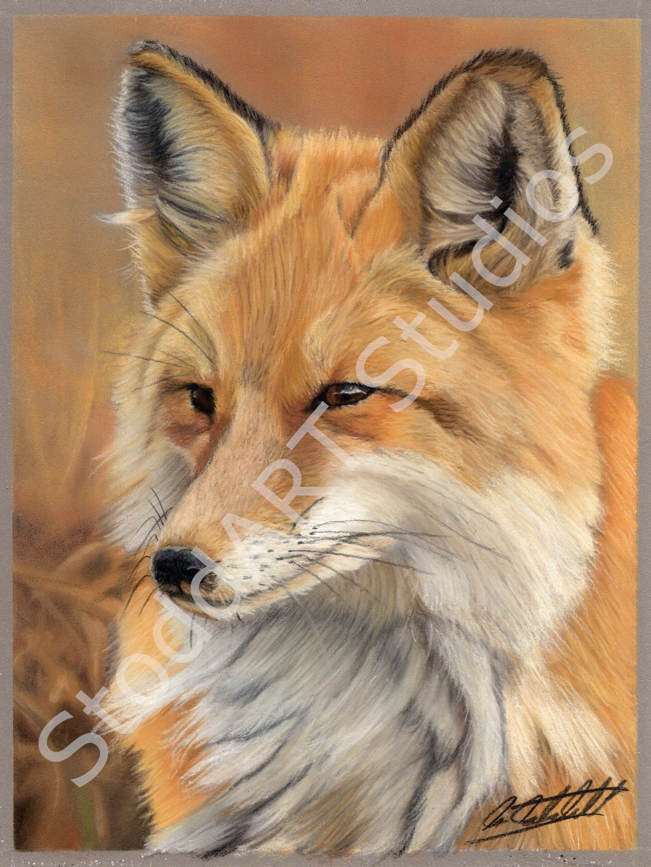 Red Fox Pastel Portrait Print 8 x 10 | Etsy