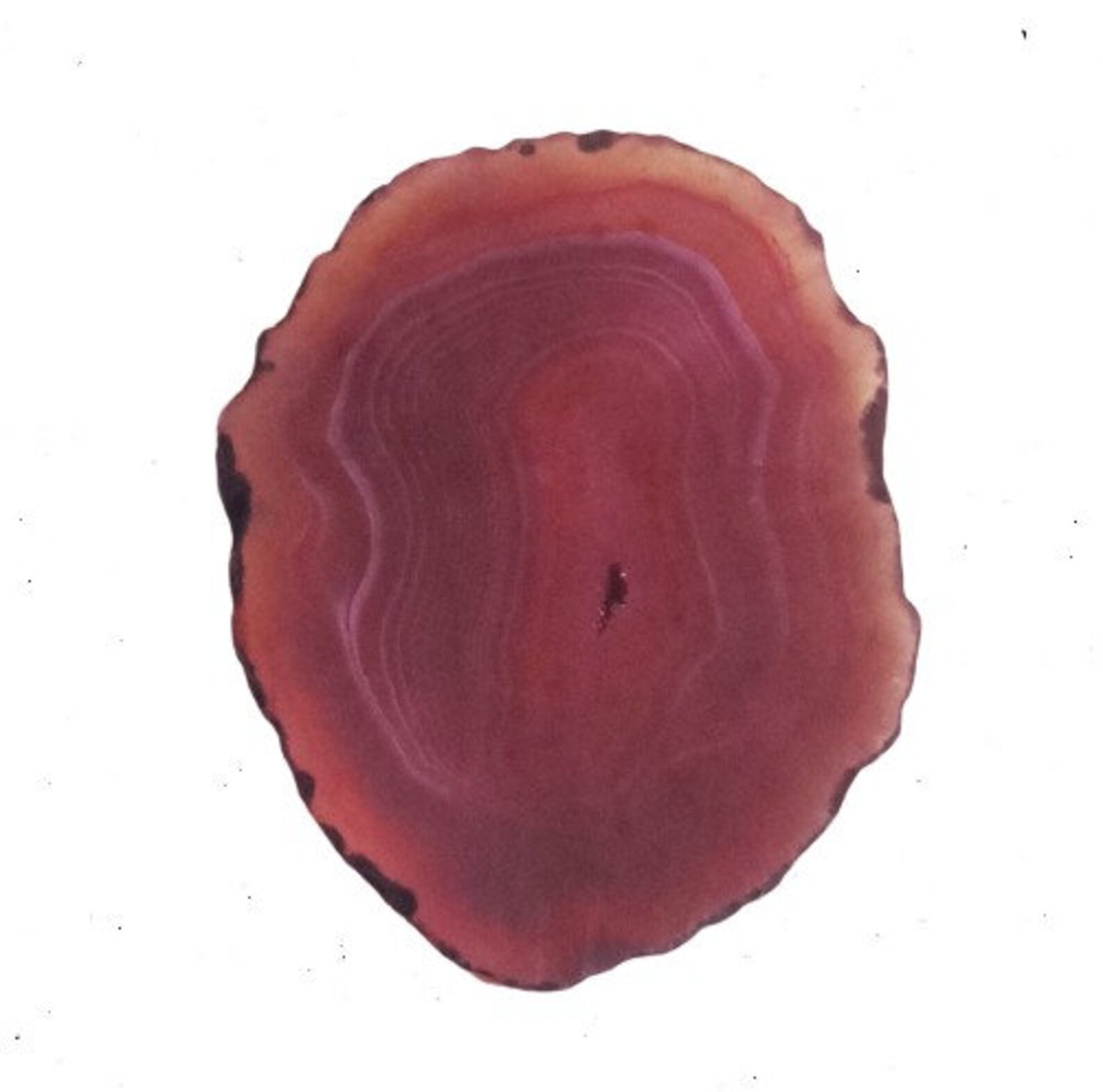 Red Agate Slice: 240 Carat Crystal Mineral for Jewelry Making - Etsy