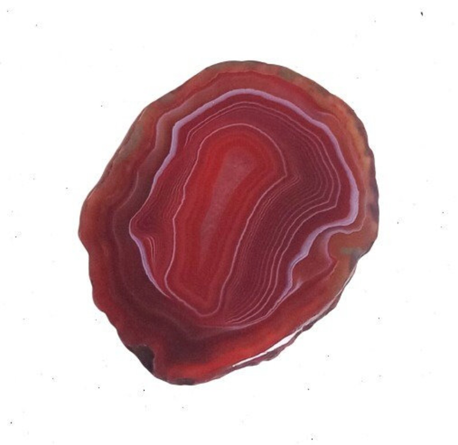 Red Agate Slice: 240 Carat Crystal Mineral for Jewelry Making - Etsy