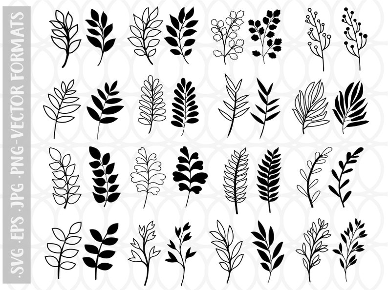 Leaves Svg Bundle Branch Svg Leaf Svg Hand Drawn Leaves - Etsy
