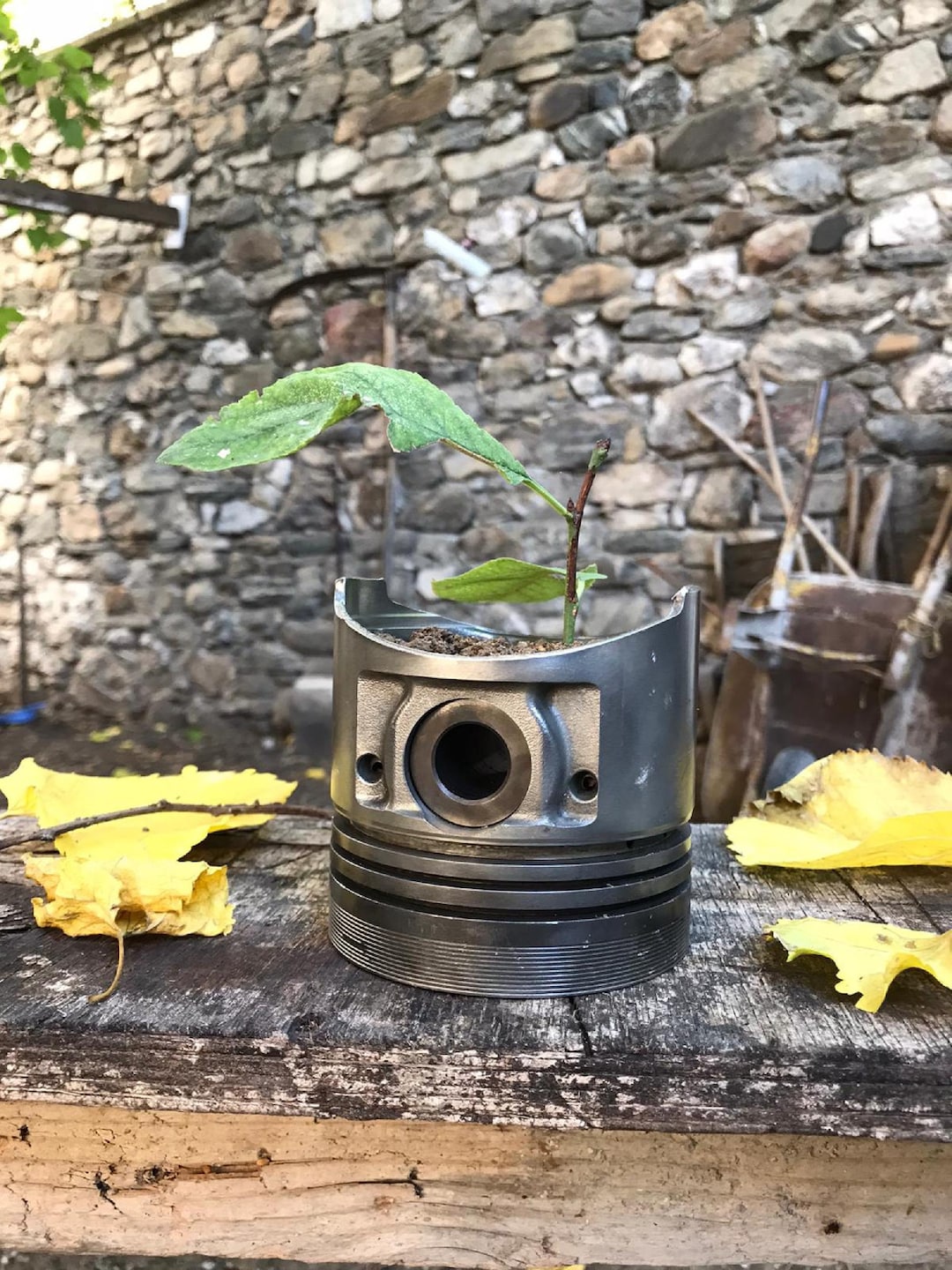 Decorative Piston Flower Pot / Real Car Engine Parts / Piston Trinket ...