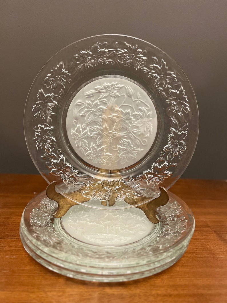 Princess House Dinner Plate. 10"d. One Plate Remaining - Etsy