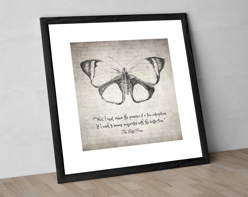 Butterfly Quote - the Little Prince - Drawing - Little Prince Art ...