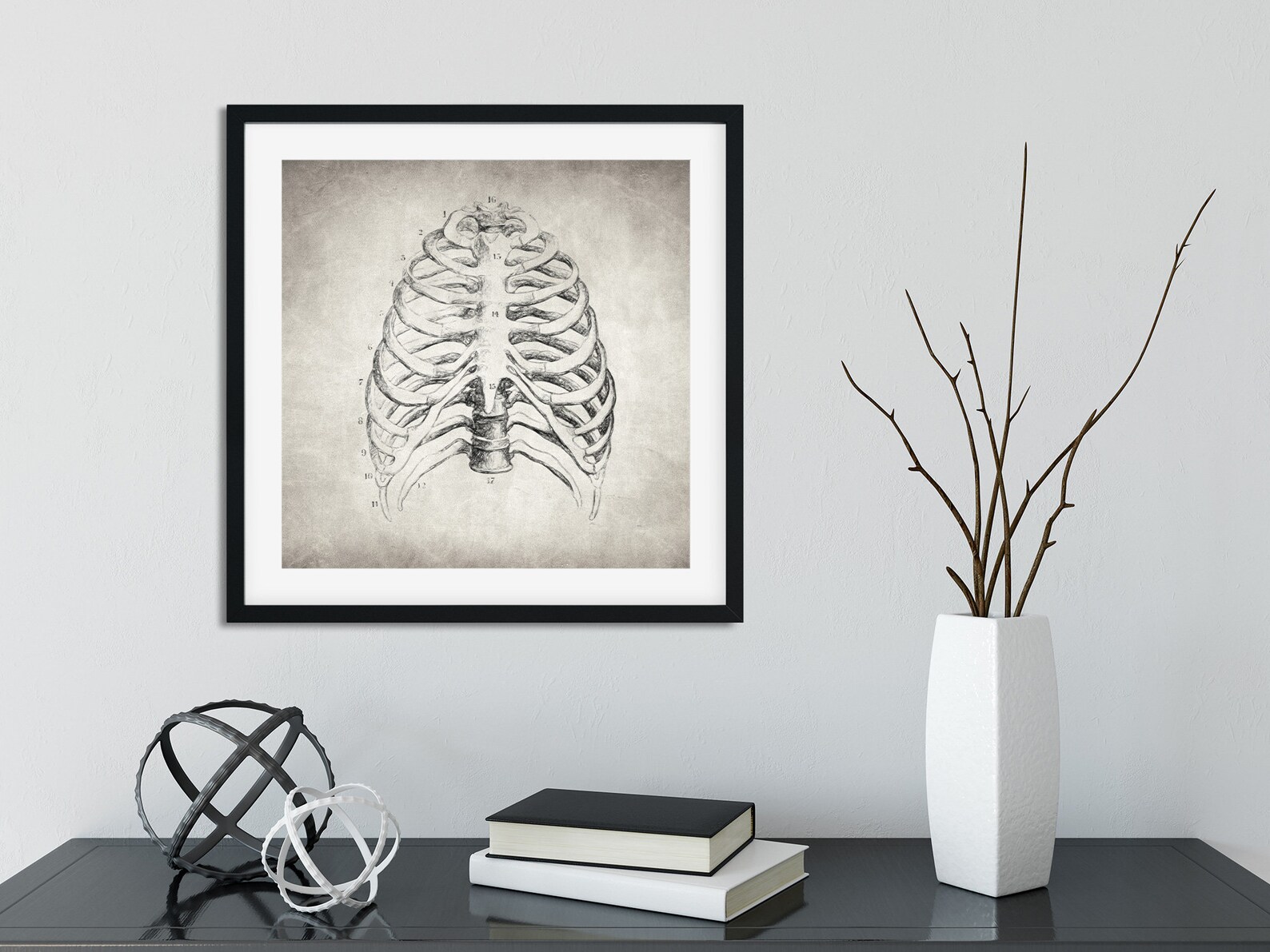 Rib Cage Drawing Art Print Anatomy Art Anatomical Art - Etsy