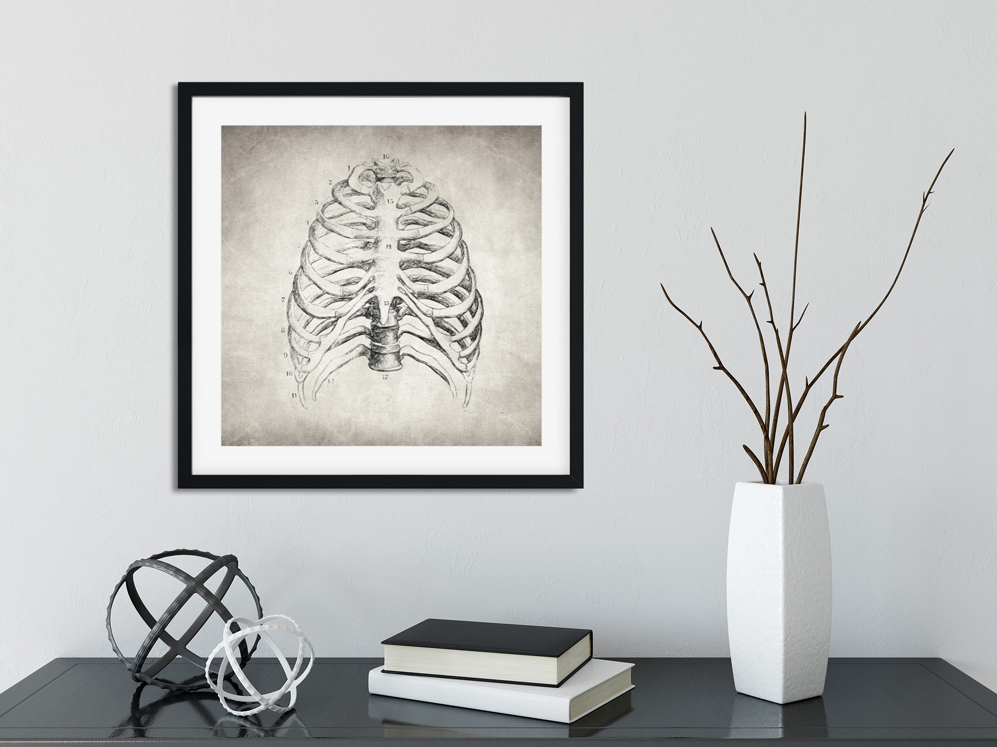 Rib Cage Drawing Art Print Anatomy Art Anatomical Art | Etsy