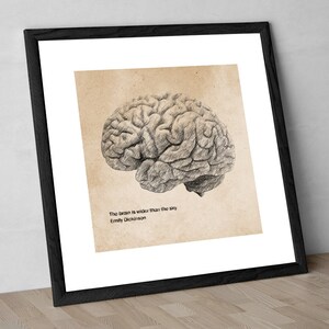 The Brain is Wider Than the Sky - Emily Dickinson Quote - Brain Anatomy ...