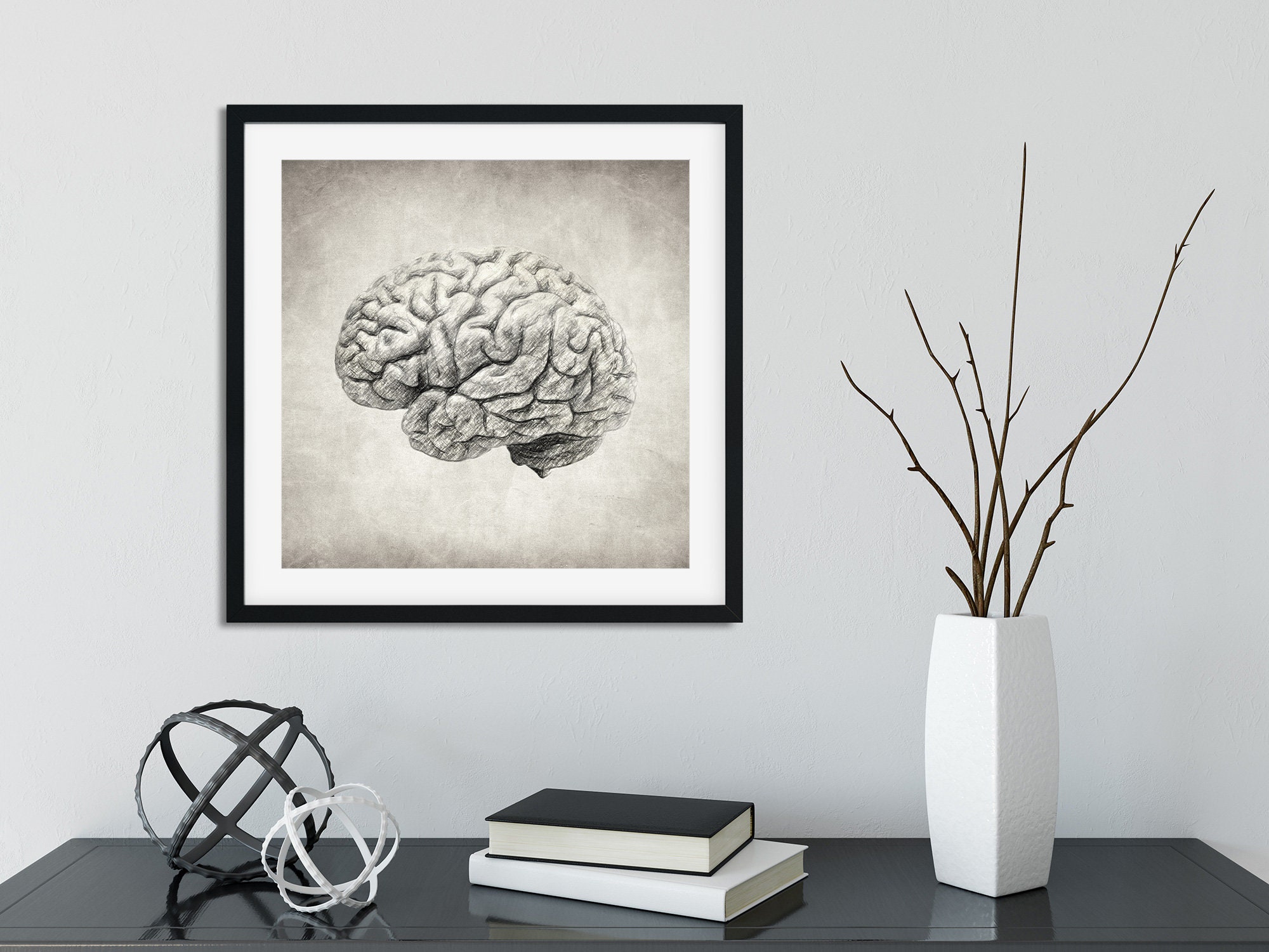 Brain Drawing Art Print Anatomy Art Anatomical Art | Etsy