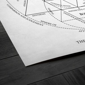 Plan of Constitution of Man Fine Art Print Mentalism Phrenology Poster ...
