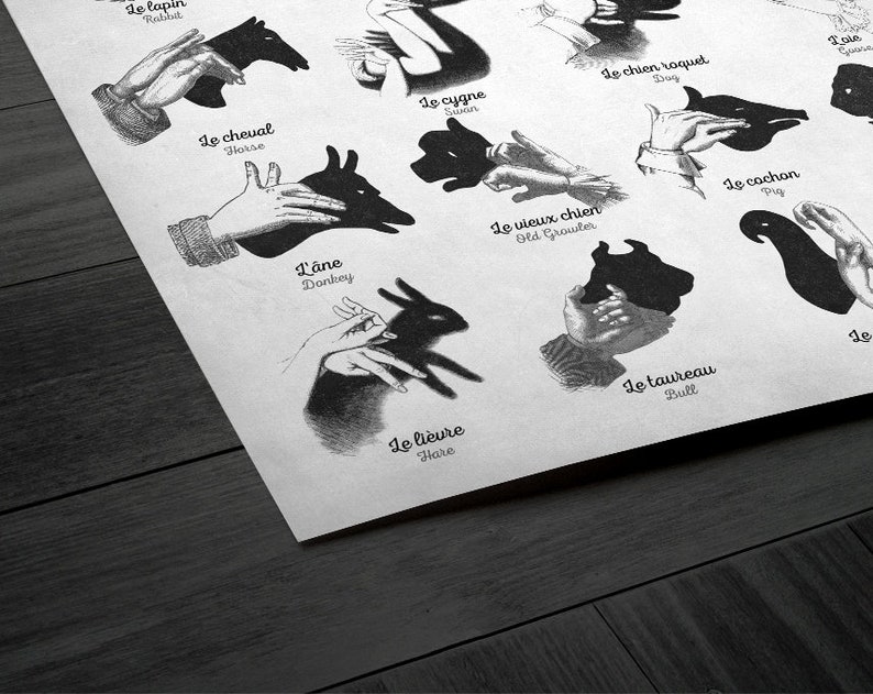 Hand Shadows - Ombromanie Illustrations - Shadowgraphy - Shadow Puppet ...