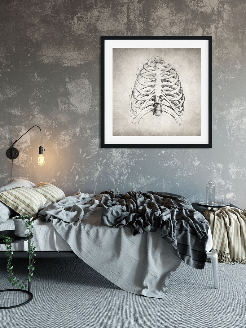 Rib Cage Drawing Art Print Anatomy Art Anatomical Art - Etsy