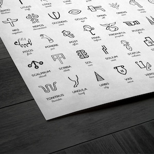 Luwian Logograms Art Print Ancient Mystical Anatolian Alphabet Luwian ...