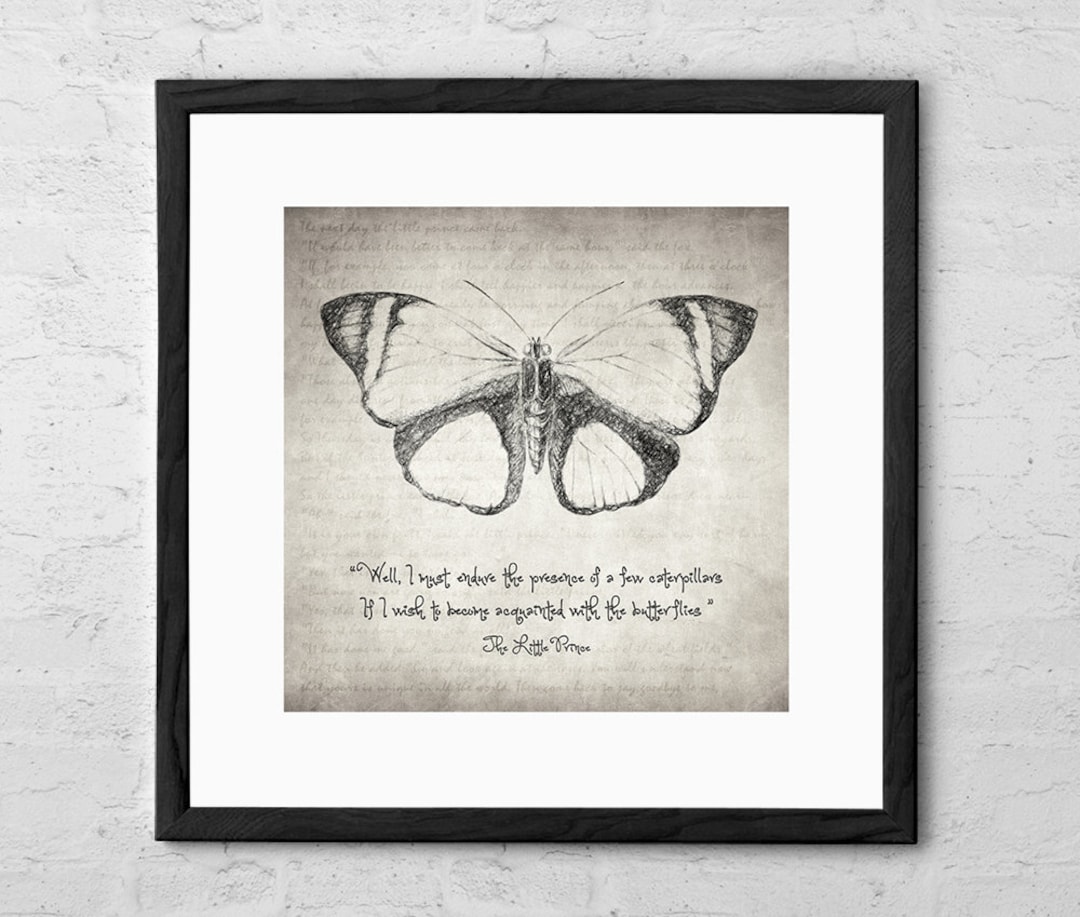 Butterfly Quote - the Little Prince - Drawing - Little Prince Art ...