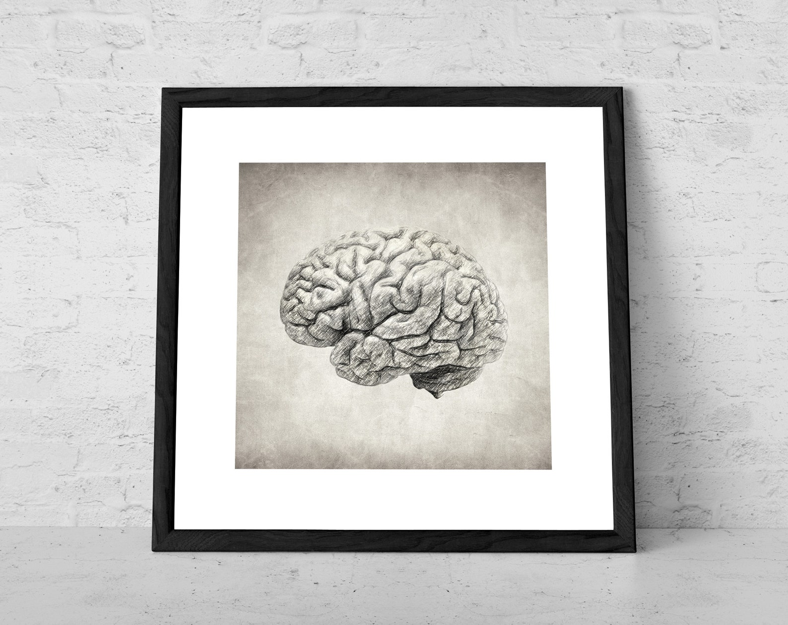 Brain Drawing Art Print Anatomy Art Anatomical Art - Etsy