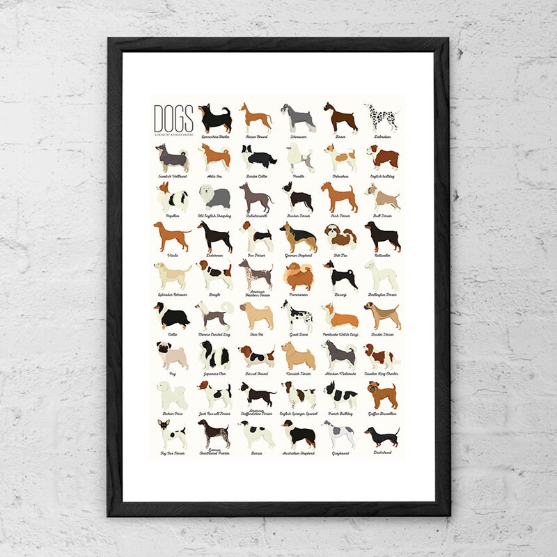Dog Breeds Poster - Etsy