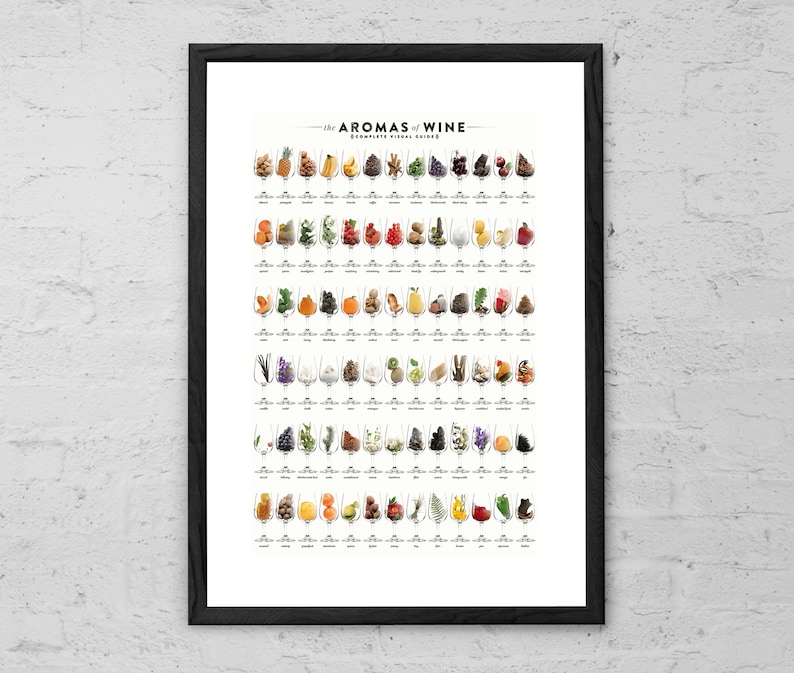 Aromas of Wine - Art Print - Alcohol Wall Art - Wine Lover Poster - Red ...