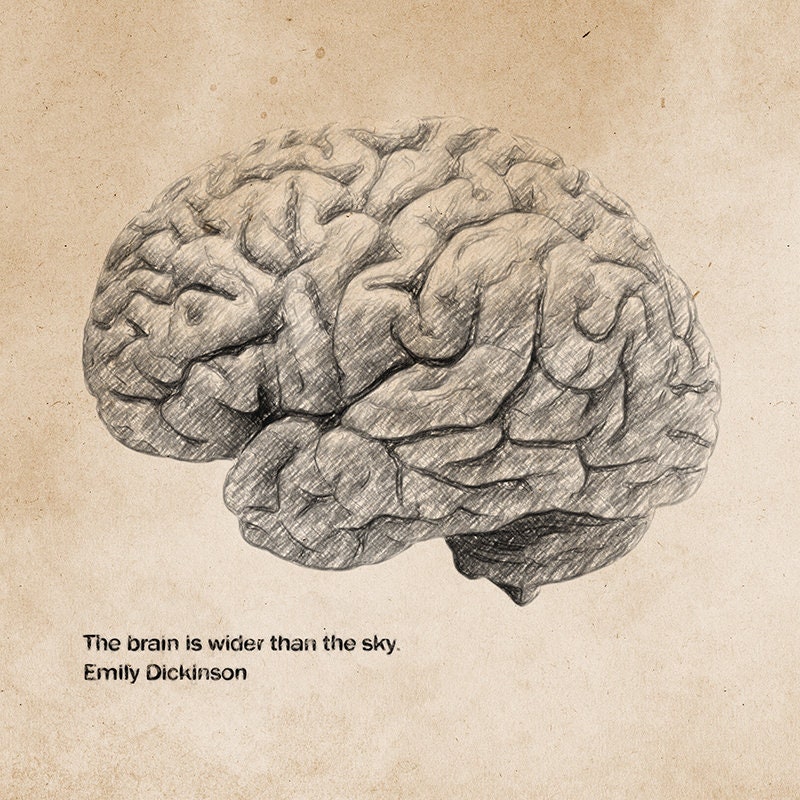 The Brain is Wider Than the Sky Emily Dickinson Quote | Etsy