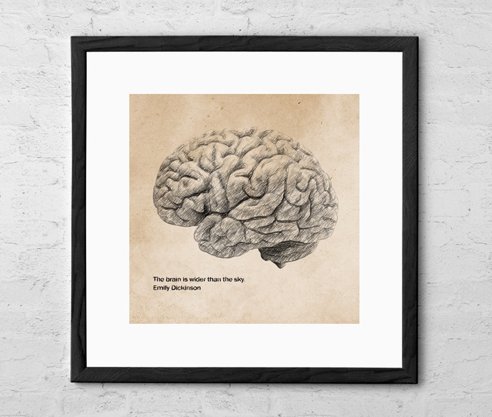 The Brain is Wider Than the Sky - Emily Dickinson Quote - Brain Anatomy ...