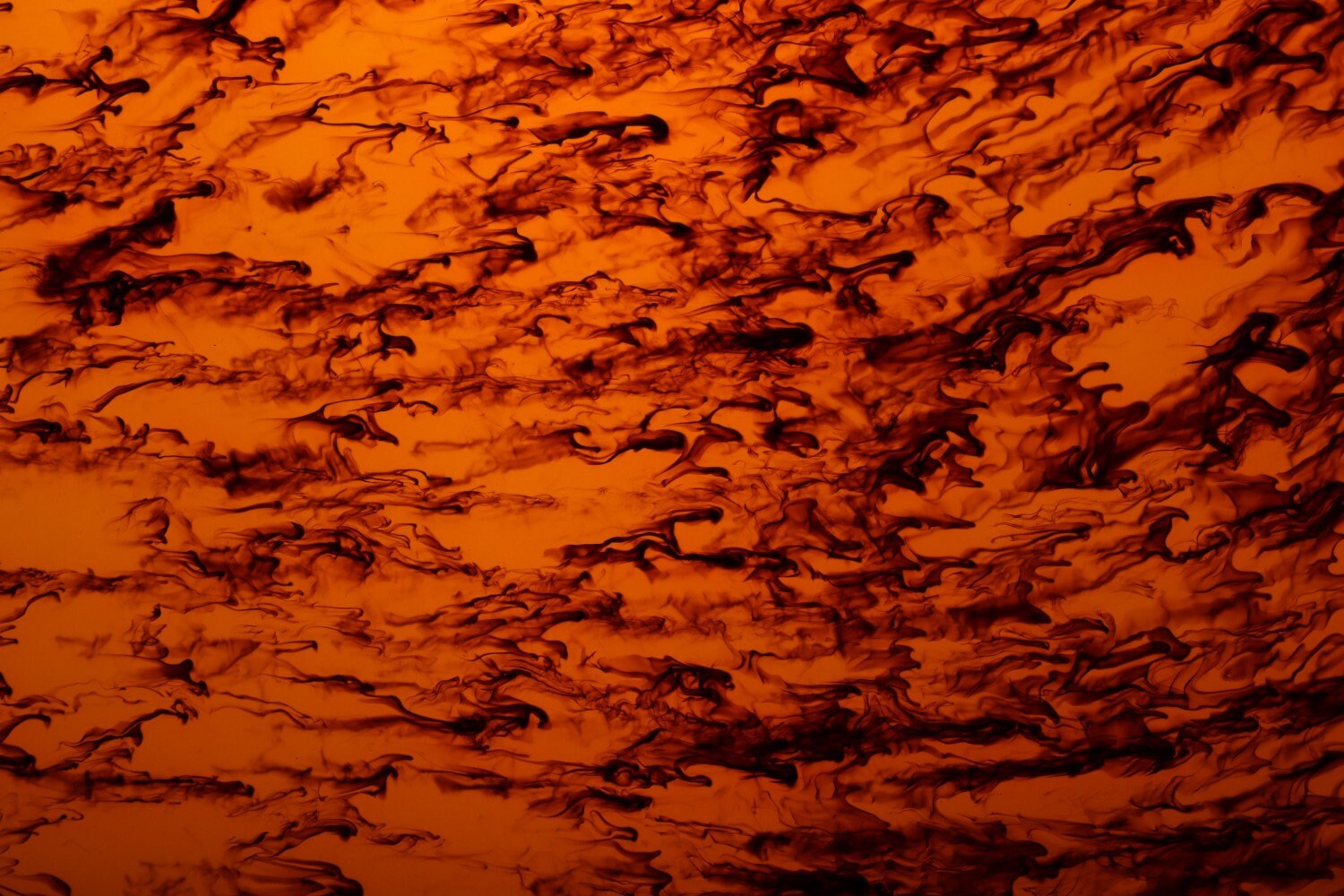 Tortoiseshell Amber Acrylic Sheet - 2.5mm Thickness Guitar Pickguard - Etsy