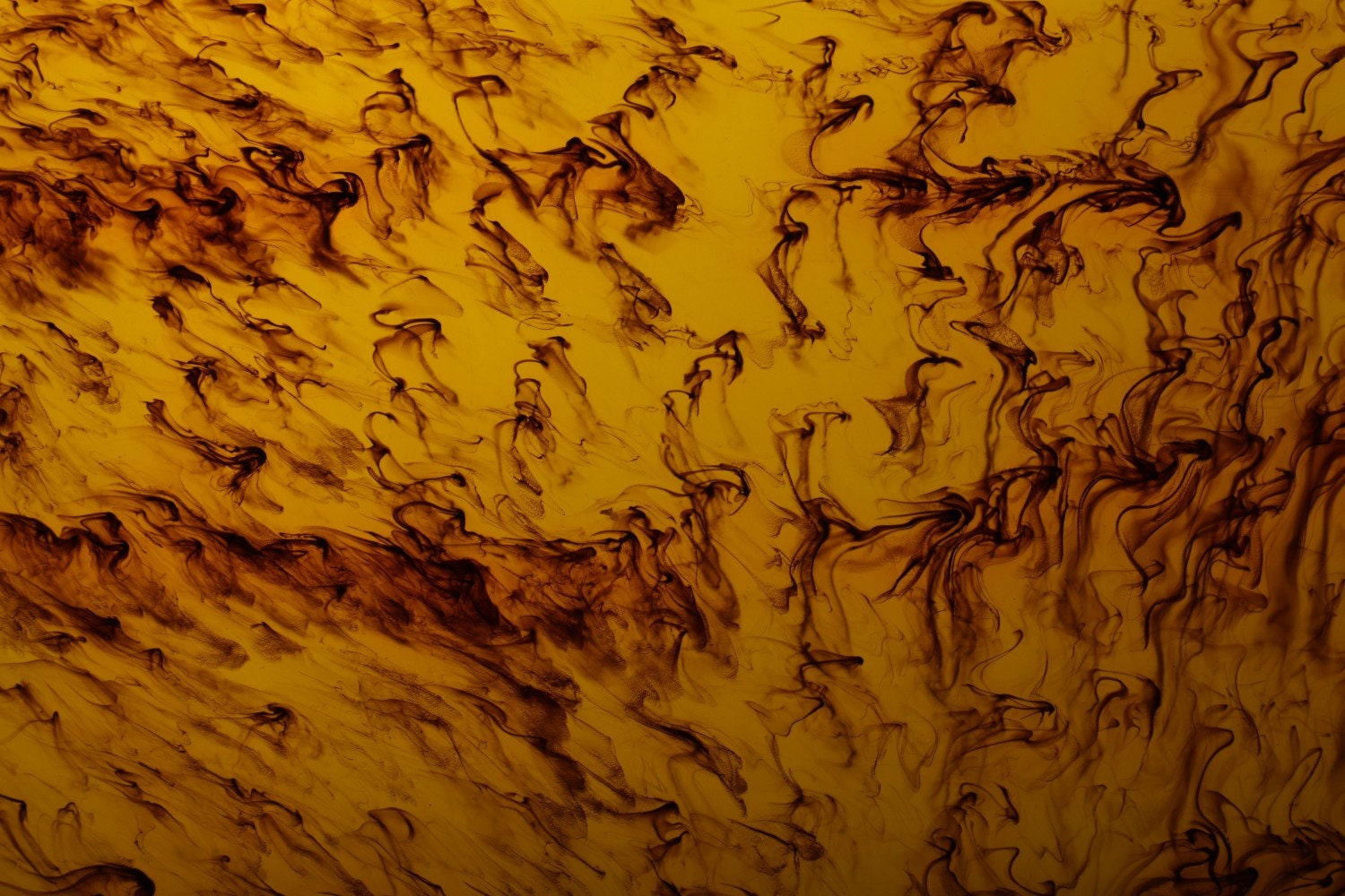 Tortoiseshell Honey Acrylic Sheet - 2.5mm Thickness Guitar Pickguard - Etsy