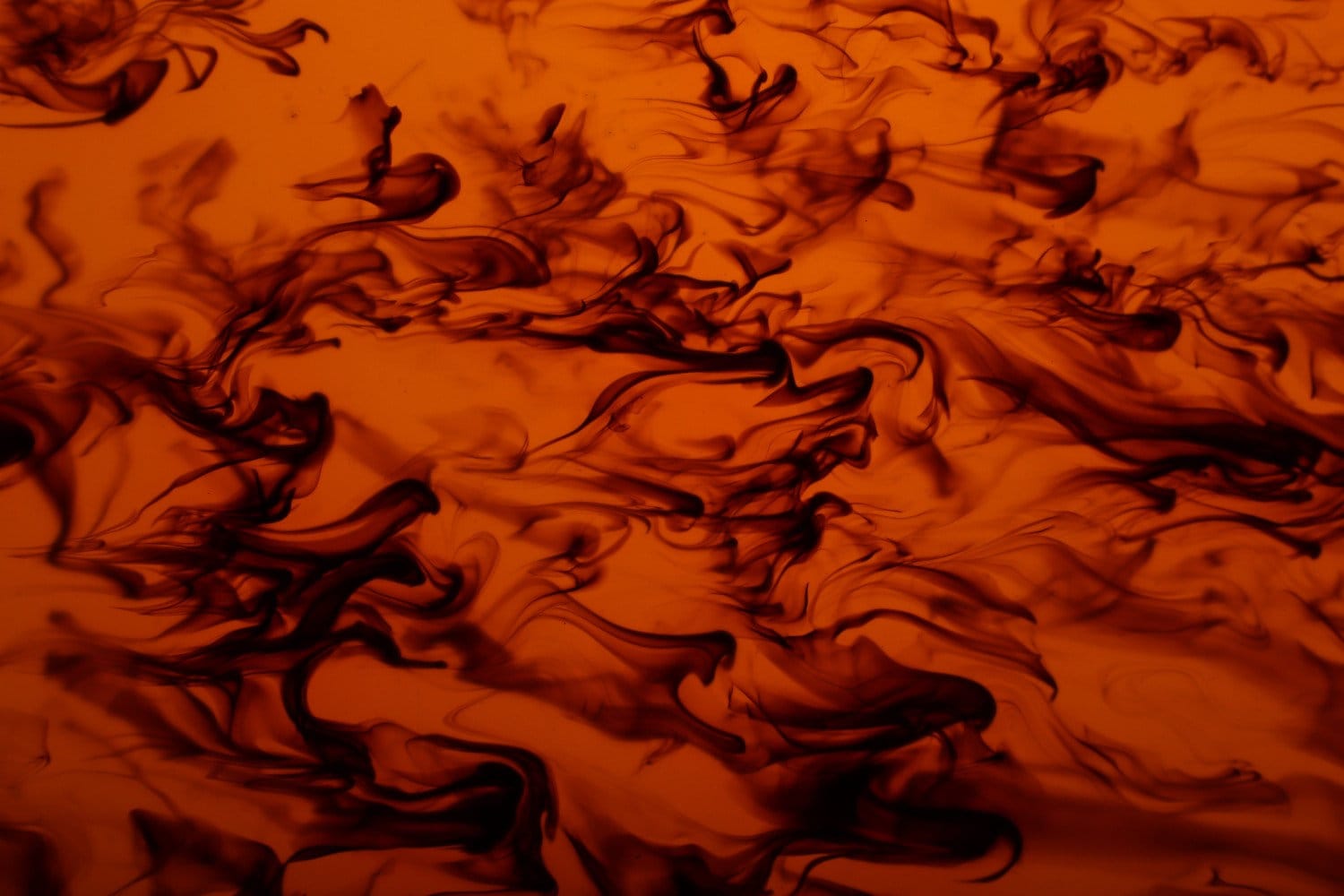 Tortoiseshell Amber Acrylic Sheet - 2.5mm Thickness Guitar Pickguard - Etsy