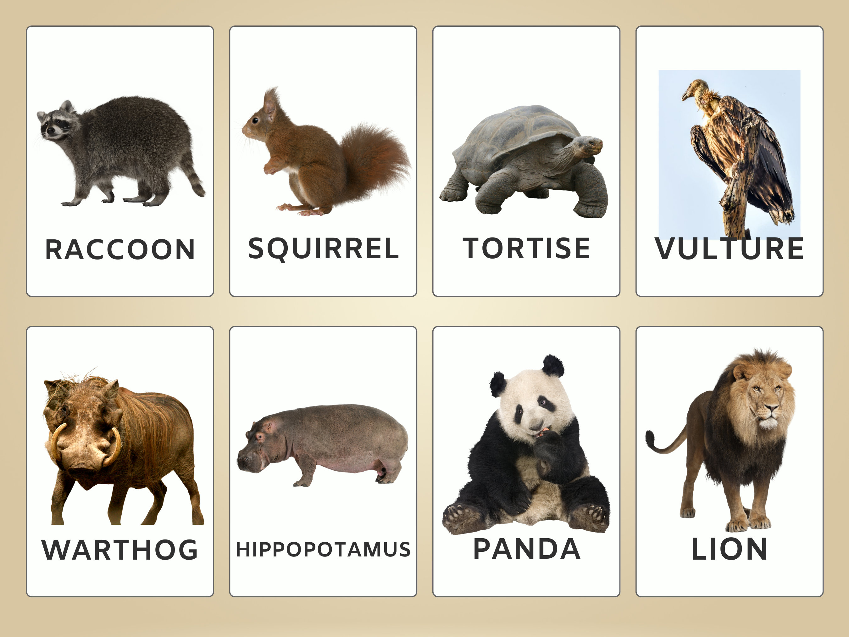 Flashcards 3 Sizes Printable Kids Flashcards Montessori Card Style ...