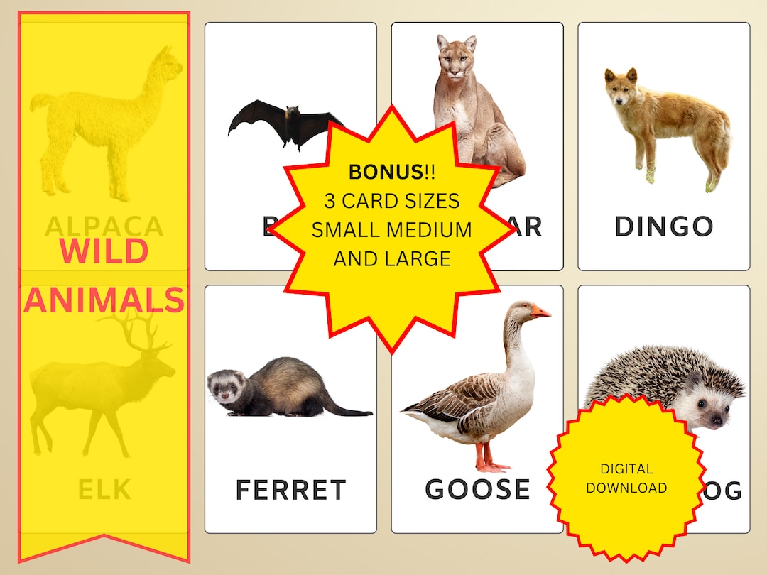 Flashcards 3 Sizes Printable Kids Flashcards Montessori Card Style ...