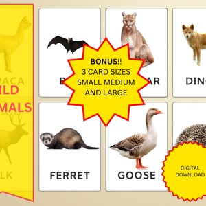 Flashcards 3 Sizes Printable Kids Flashcards Montessori Card Style ...