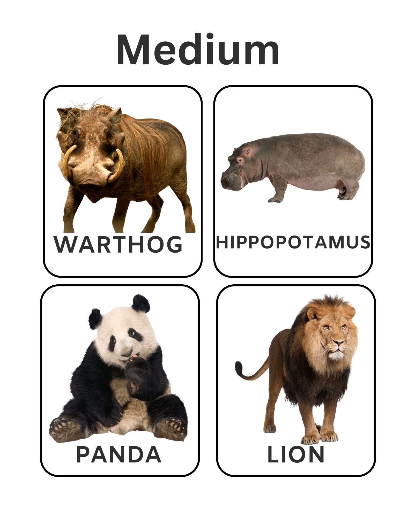 Flashcards 3 Sizes Printable Kids Flashcards Montessori Card Style ...