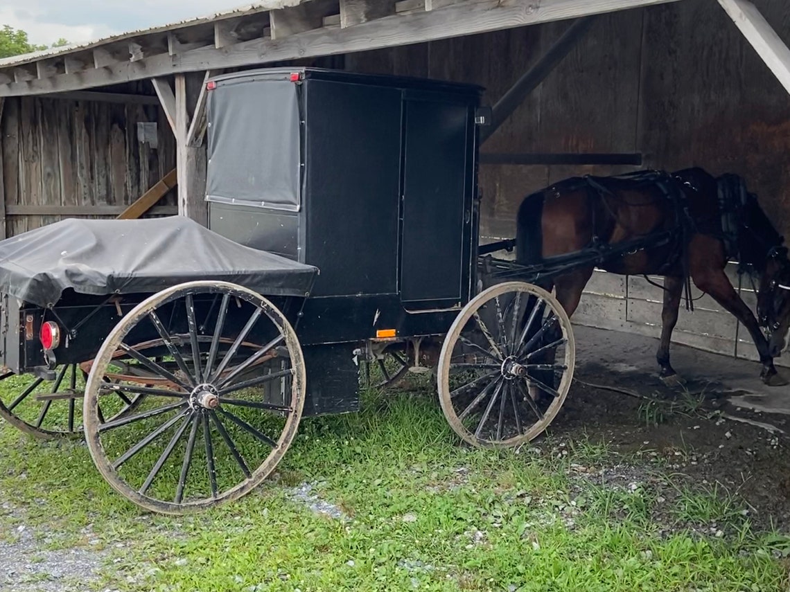 Amish Trio 3 Pennsylvania Dutch Buggies Digital Photo | Etsy