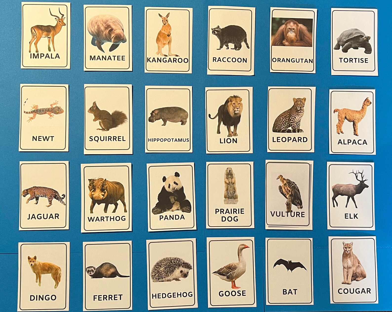 Flashcards 3 Sizes Printable Kids Flashcards Montessori Card Style ...