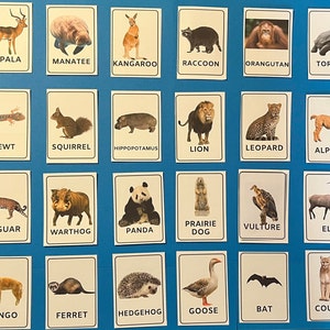 Flashcards 3 Sizes Printable Kids Flashcards Montessori Card Style ...